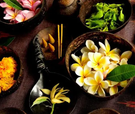 Nature's Sweetest Treats: A Guide to Natural Sweeteners- Supplier ...